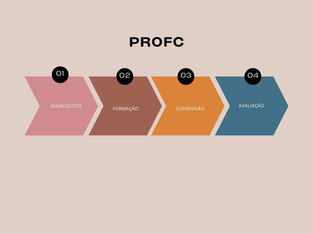 Programa de Formação Continuada de Profissionais da Educação Básica – PROFC